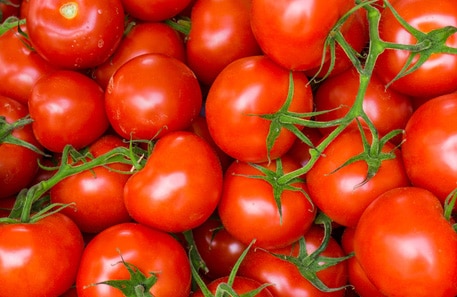 Social Responsibility